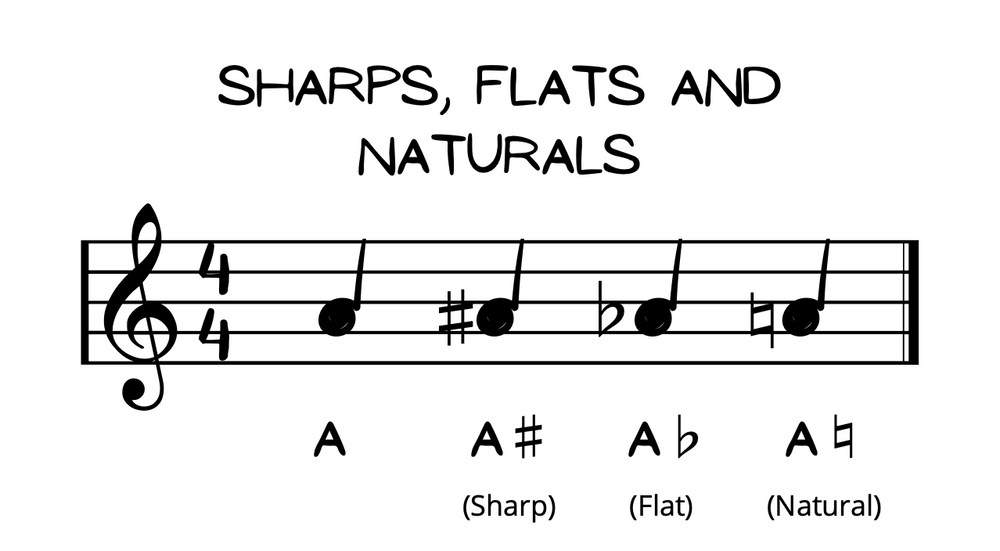 Music Theory for Singers: Free Guide for Beginners